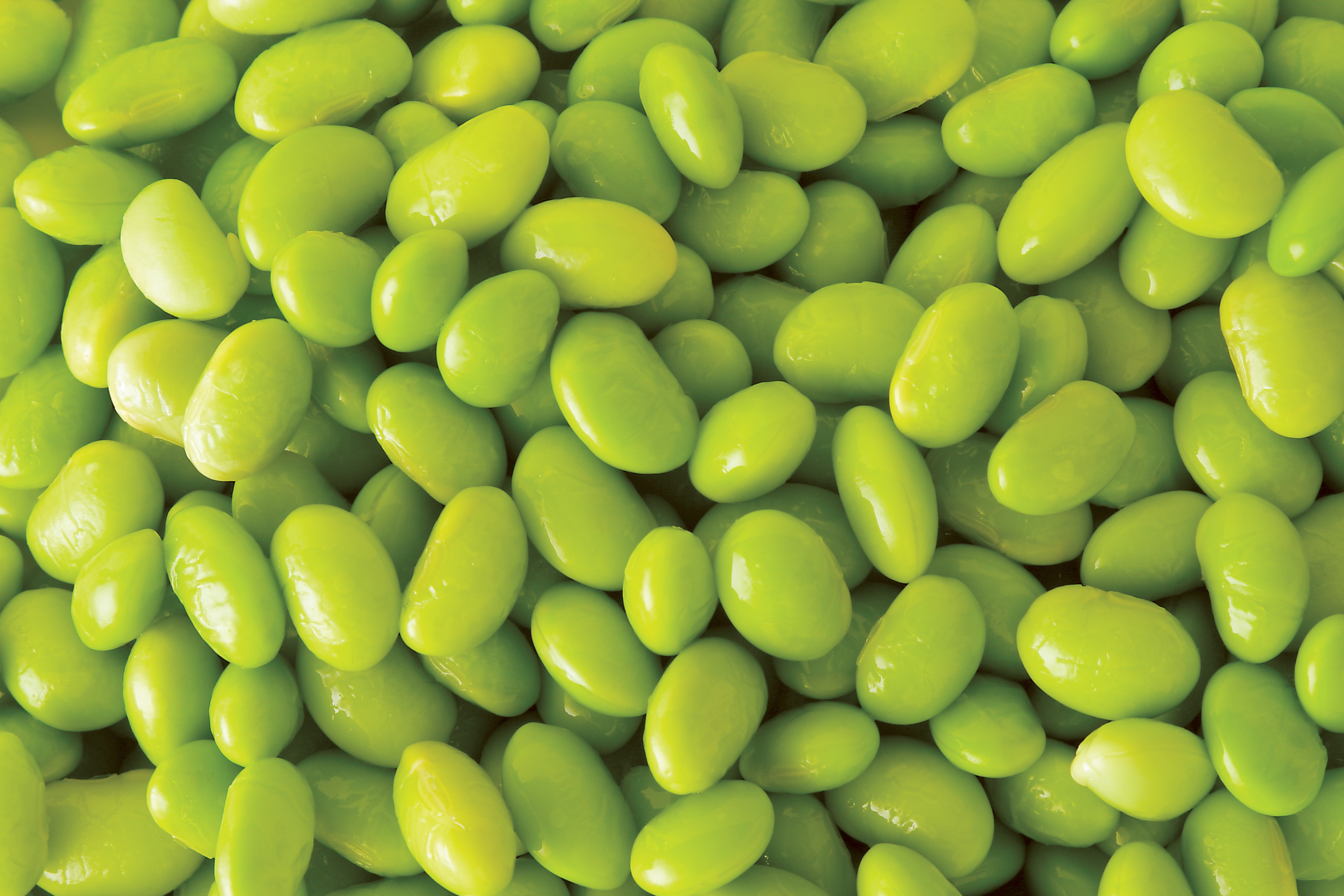 South Dakota Soybean | Soy Protein’s Quality Makes It the Top Choice…