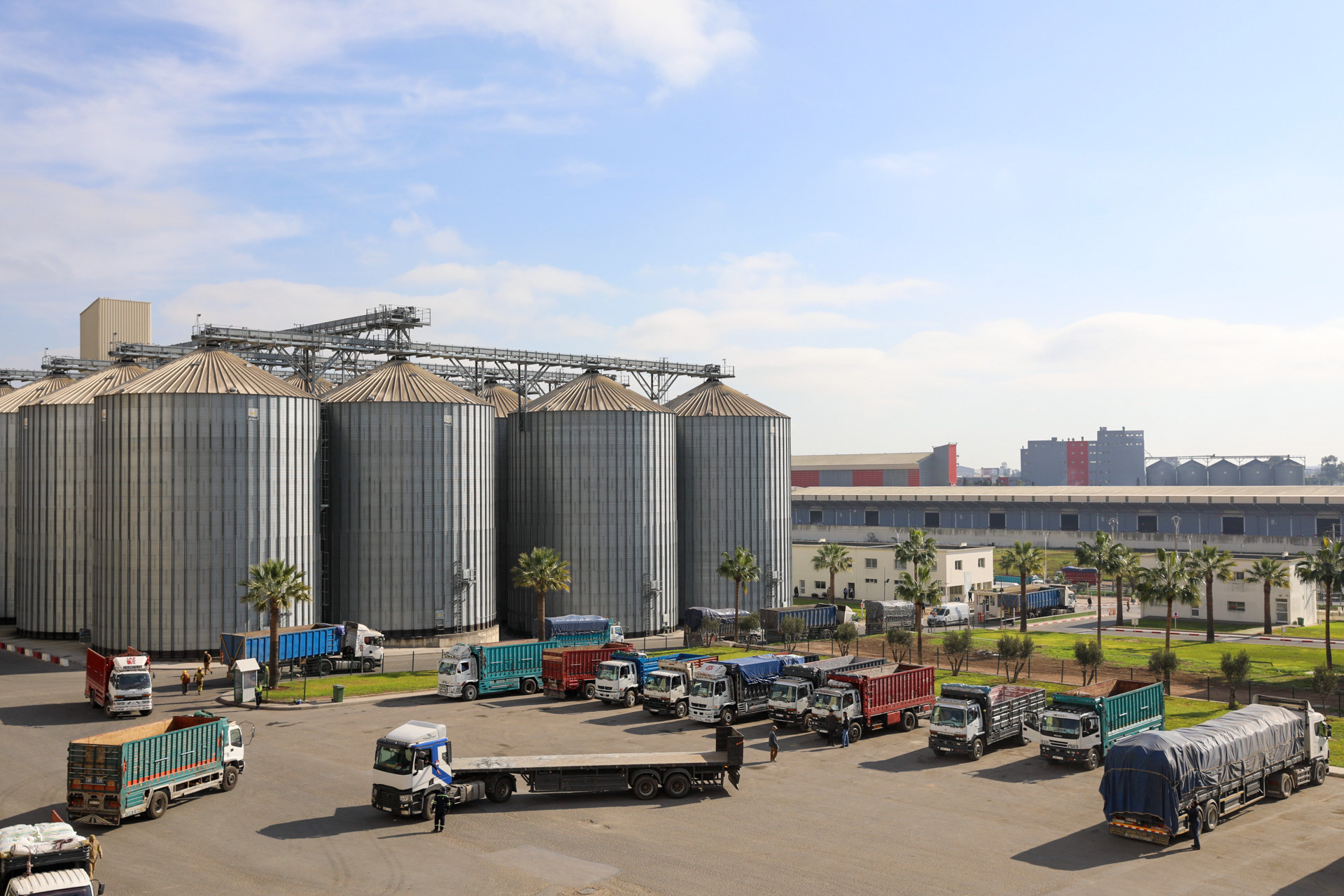 South Dakota Soybean | On A Mission: How Trade Visits Impact Demand…