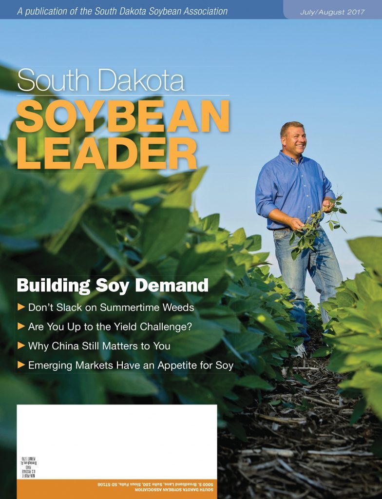 South Dakota Soybean Leader | South Dakota Soybean