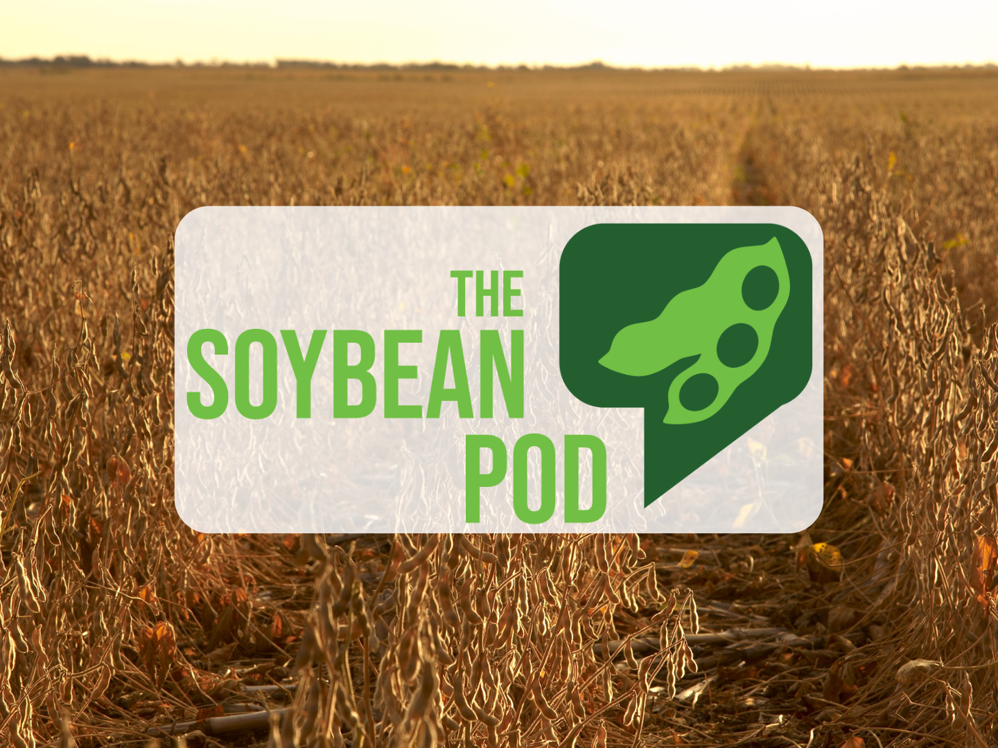 South Dakota Soybean | Home
