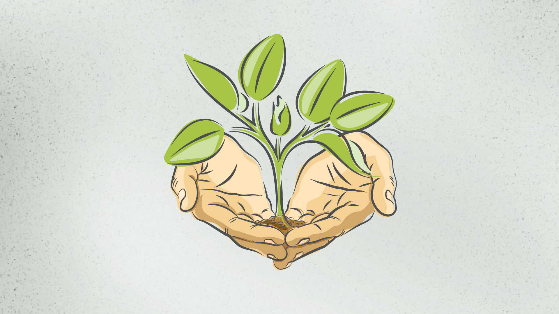 South Dakota Soybean | Soil Health Research Promotes Sustainable…