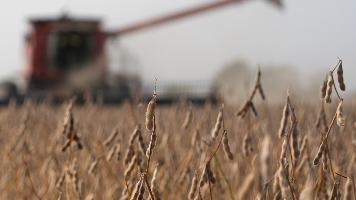 About Us | South Dakota Soybean